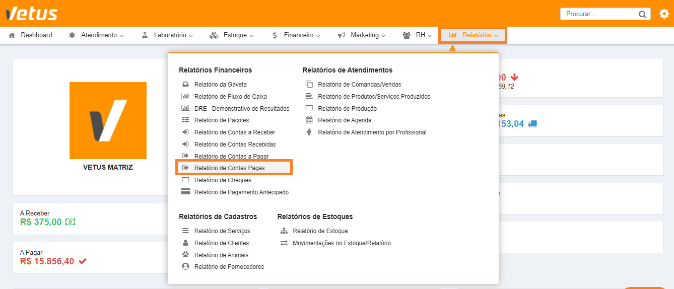Relatório de contas pagas – Central de Ajuda Vetus